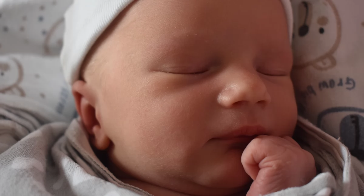 BOBASY ŻYCIA (maluszki z nr ŻP 15 z 9 kwietnia) - wiadomości Przemyśl